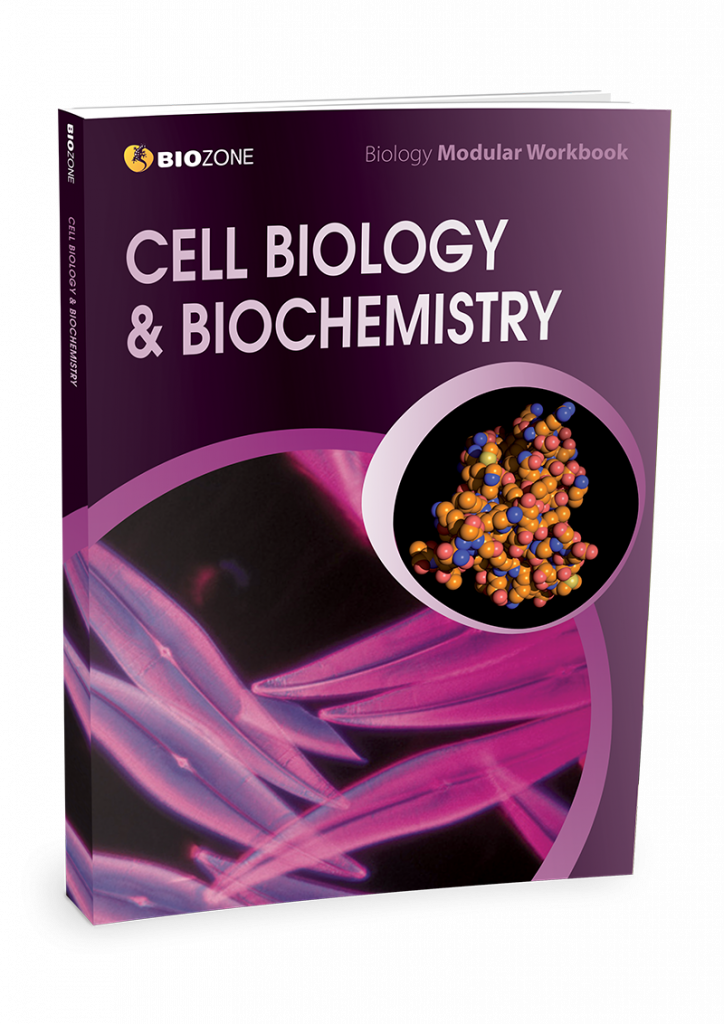 Cell Biology & Biochemistry Modular Workbook